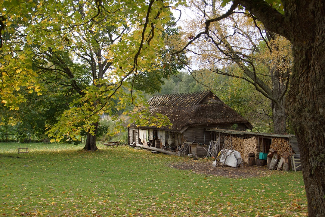 Võru County: A Place Where Nature's Charm Meets Rich Culture